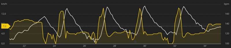 Lauftraining mit ★ Vitalyzed ★ deine Trainingexperten!